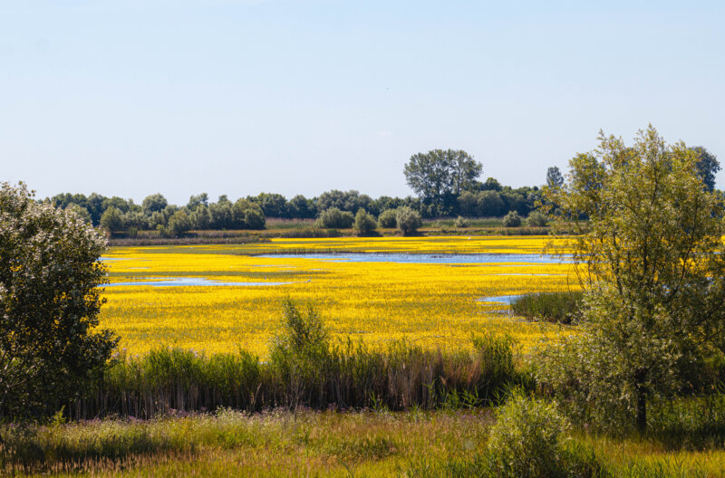 Vila Siesta | Weekendica