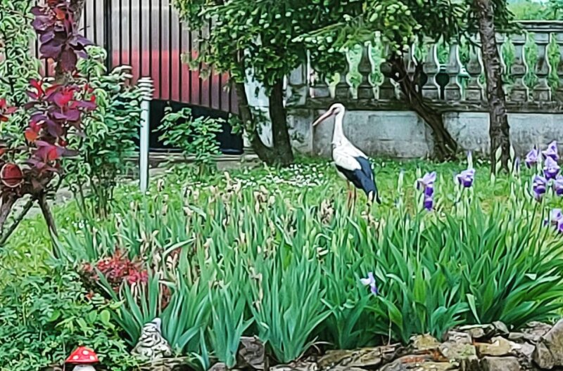 Vila Sakule | Weekendica