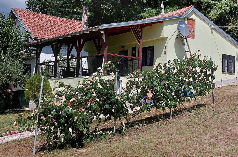 Avala House | Weekendica