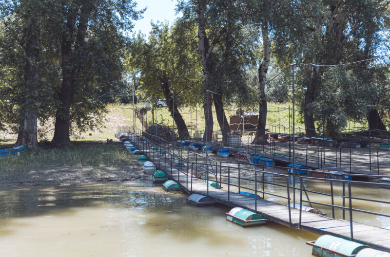 Timber River | Weekendica