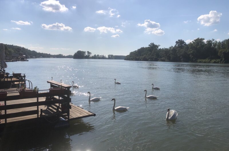 Splav Piccolo | Weekendica