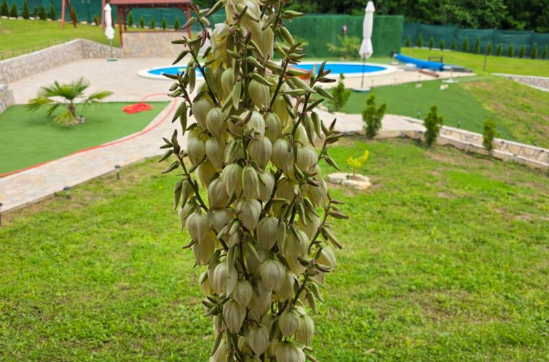 Vila La Vista | Weekendica