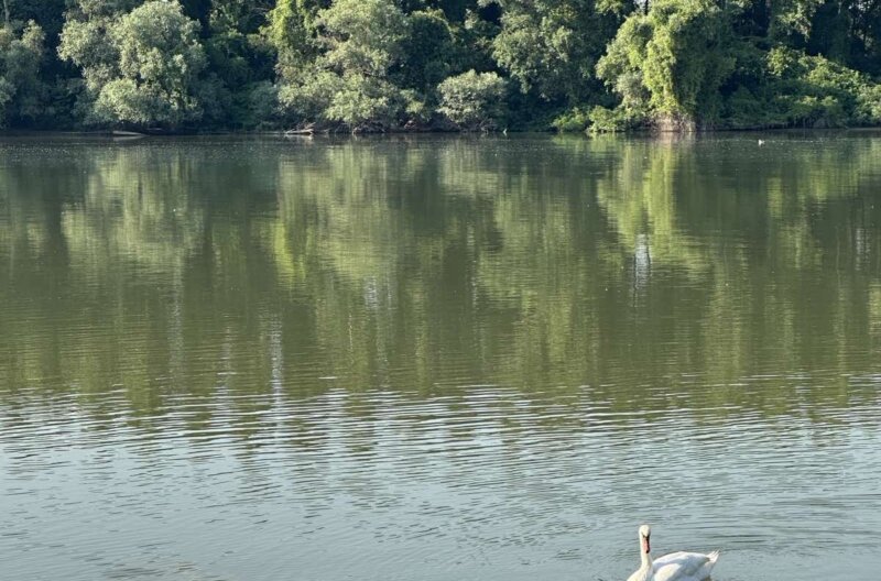 Dunavska Magija | Weekendica